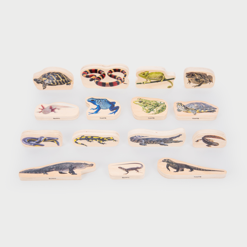 Wooden Reptile & Amphibian Blocks - Pk15 | Commotion